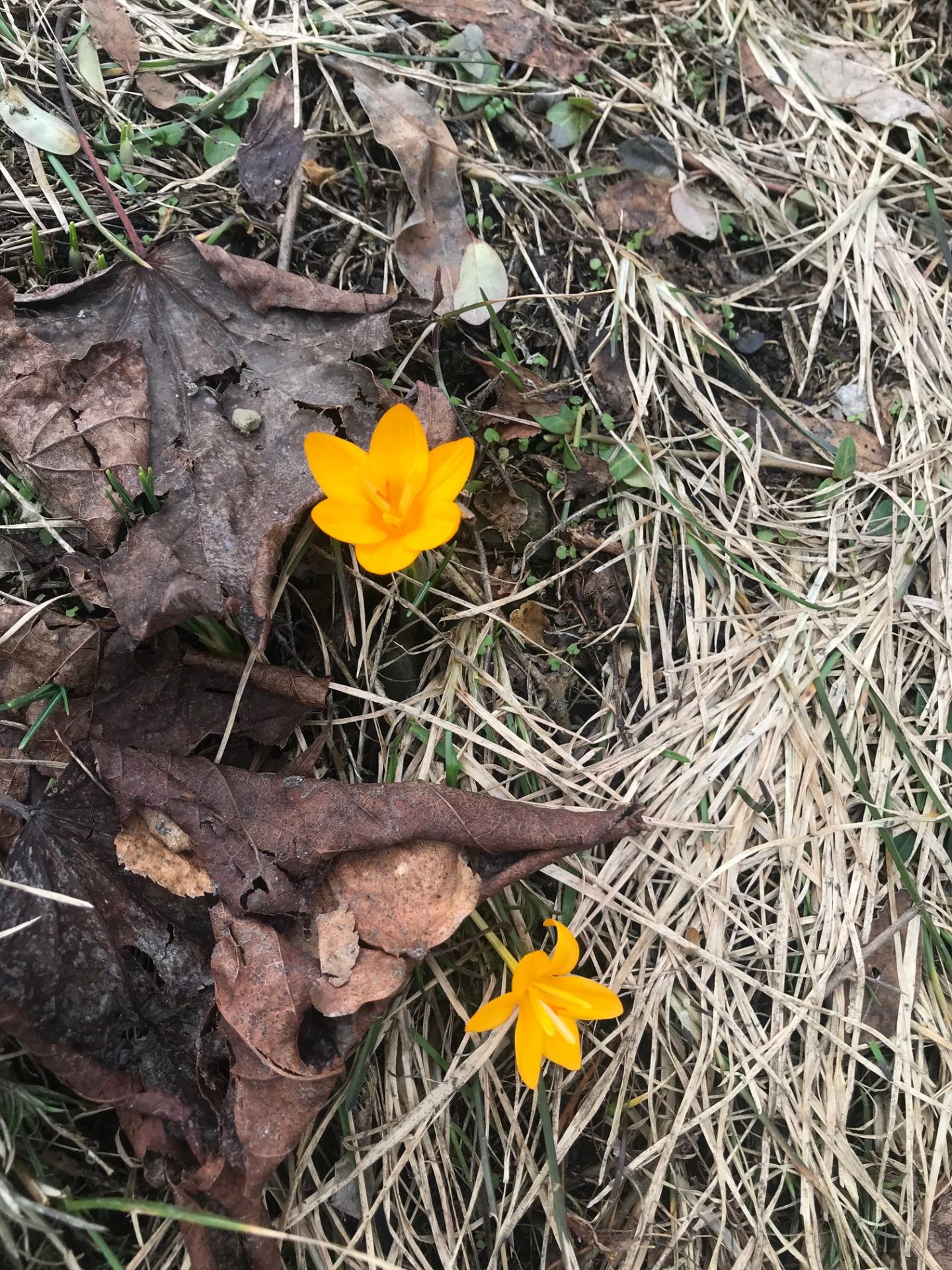 SONGS – Ken Hardley