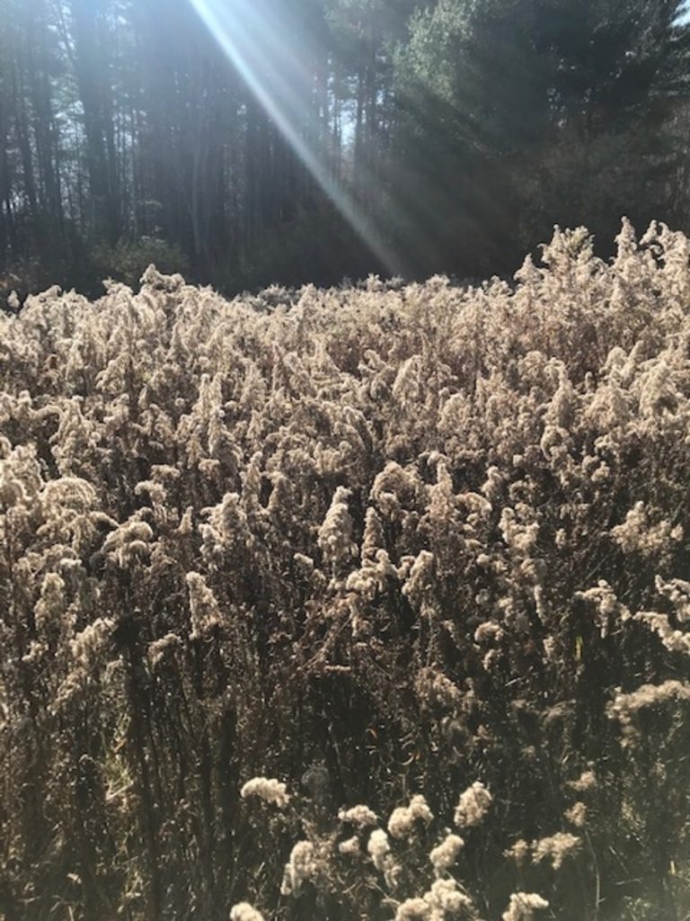 SONGS – Ken Hardley